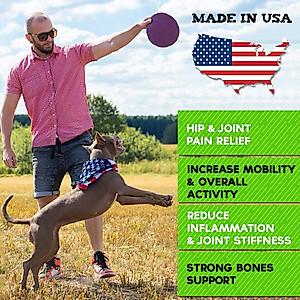 STRELLALAB Hemp Treats and Glucosamine for Dogs + Salmon Oil Omega 3 for Dogs Bundle - Hip & Joint Supplement - Allergy Relief - Itch Relief, Shedding - Skin and Coat Supplement