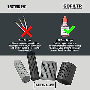 GOFILTR 50 oz Alkaline Water Bottle With Straw Lid + Two 9.5 ph Alkaline Water Infusers/Sport Insulated Water Bottle Jug/Creates Alkaline Water, Color: Glacier