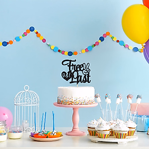 Free At Last Cake Topper, Break Up/Divorce Sign/Freedom Party Decorations, 2024 Graduation Party Decors, Farewell Single Finally Done Theme, Black