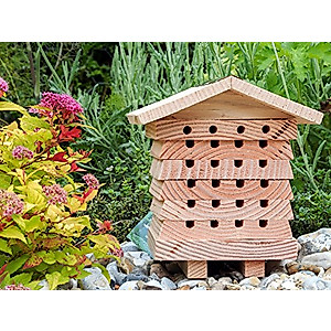 Wildlife World Interactive Wooden Bee House - Pollinator Bee Management System