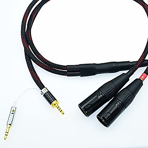 2.5mm Trrs to 2 Dual XLR Male Cable Balanced Audio for Astell&Kern AK100II, AK120II, AK240, AK380, AK320, DP-X1A, FIIO X5III XDP-300R iBasso DX200, KANN etc SP1000M SP2000 SR15 SE100 KANN Cube (3ft)