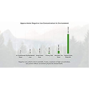 Rockwood Plant Air Purifier