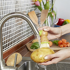 Tater Mate Potato Brush with Eye Remover