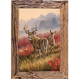 HTL Card-Boxed-Birthday-Whitetail Deer (Box of 12)