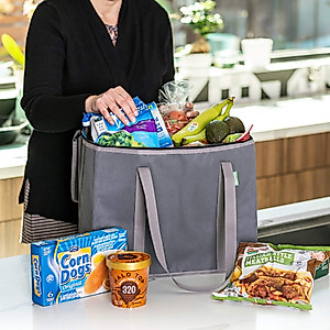 Creative Green Life Cooler Bag and Insulated Grocery Bags