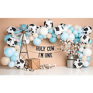 Holy Cow I'm One Banner Farm Themed 1st Birthday Party Decoration for Western Cowboy and Cowgirl First Rodeo Birthday Decorations