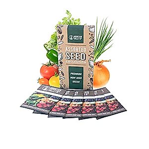 Mexican Seed Salsa Garden Collection | Basic Assortment | Grow Vegetables for Salsa, Hot Sauce, Pico De Gallo | 6 Non-GMO Vegetable Gardening Seed Packets: Jalapeno, Tomato, Cilantro, Onion, Chives, &
