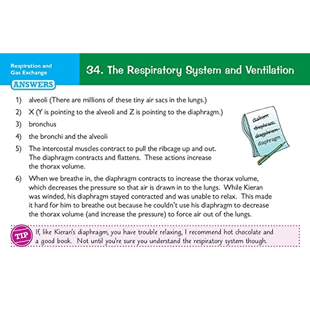 New Grade 9-1 Edexcel International GCSE Biology: Revision Question Cards (CGP IGCSE 9-1 Revision)