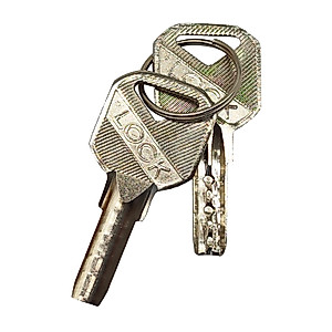 Fundyliue 5th Wheel King Pin Lock Solid Steel Trailer King Pin Lock Anti Theft Replacement for RVs Container Trailers and Campers with Warning Tag