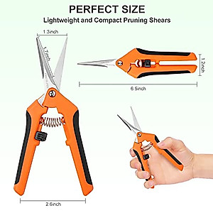 Premium Pruning Shears, Reggory Garden Shears with Upgrade Straight Stainless Steel Blades, Strong Sharp Garden Scissors, Clippers for Gardening/Indoor Plants.