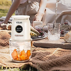 Xsun Baby Food Maker,Portable Baby Food Processor Set for Baby Food, Fruits, Meat, Vegetable Baby Food Puree Blender with Food Containers, Baby Plates, Silicone Spoon,600ml Glass Bowl