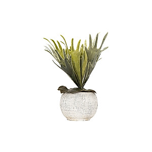 Distressed Cream Terracotta Planter with Fluted Texture