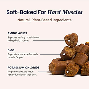 Holistapet Mobility Soft Chews, Amino Acids for Dogs, Supports Overall Health, Helps Maintain Activity, All Natural Ingredients (30 Count, Peanut Butter)