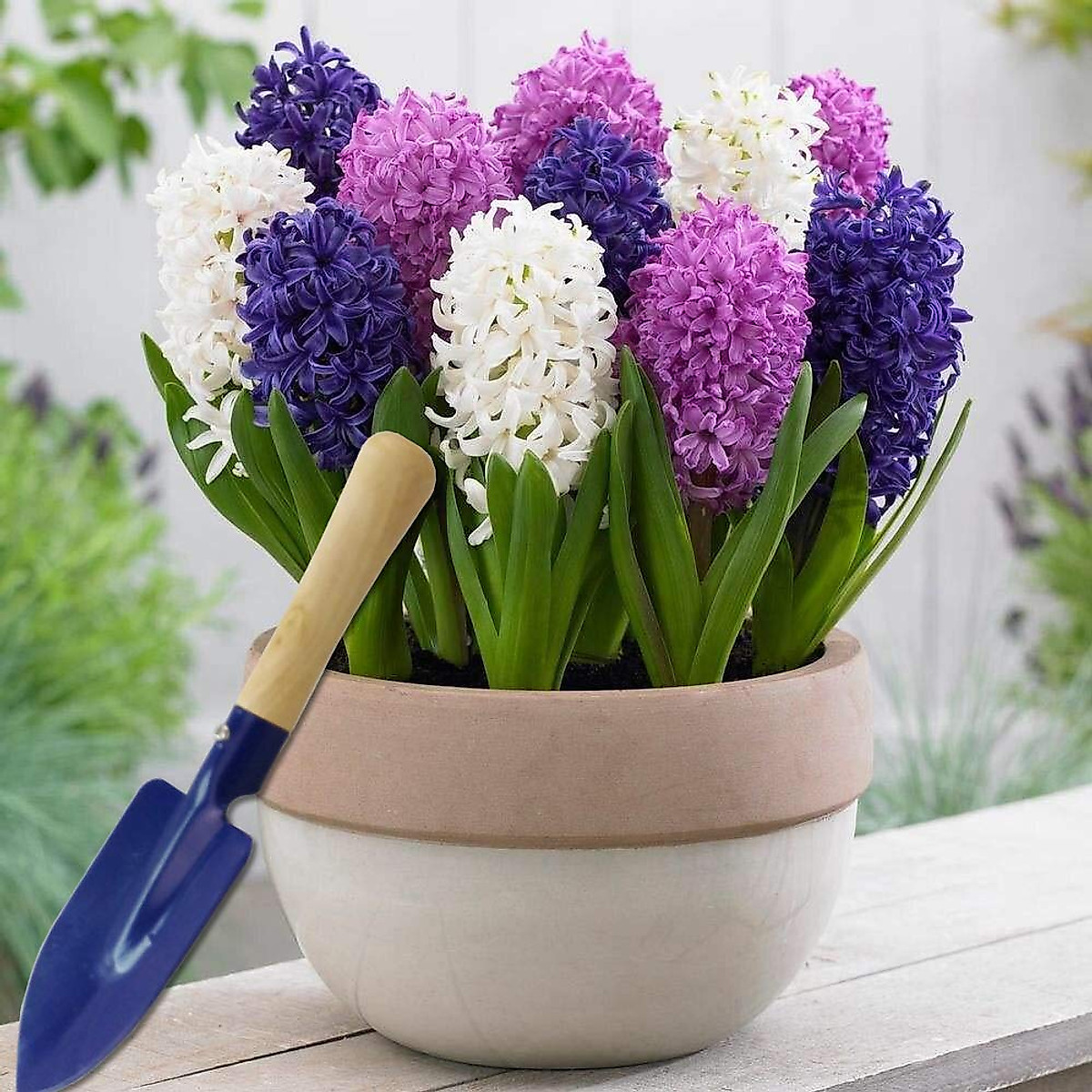 LIDAGO Set of 4 Kids Garden Tools Includes Shovel, Rake, and Trowel | Children Beach Sandbox Toy