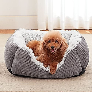 MIXJOY Medium Dog Bed for Medium Small Large Dogs, Washable Orthopedic Dog Sofa Bed, Durable Plush Rectangle Pet Bed, Soft Fluffy Calming Puppy Bed with Anti-Slip Bottom(M, 25''x 21''x 8'')