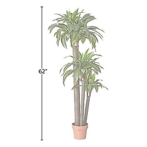 Amazon Basics Artificial Dracaena Tree with Plastic Faux Terracotta Pot, 60-Inch