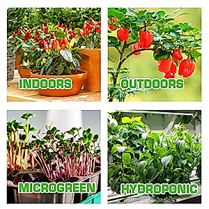 10 Most Popular Hot Peppers Seeds Varieties - USA Grown - 500+ Non-GMO Heirloom Seeds Pack for Planting Home Garden Indoor and Outdoor - Anaheim, Cayenne, Habanero & More