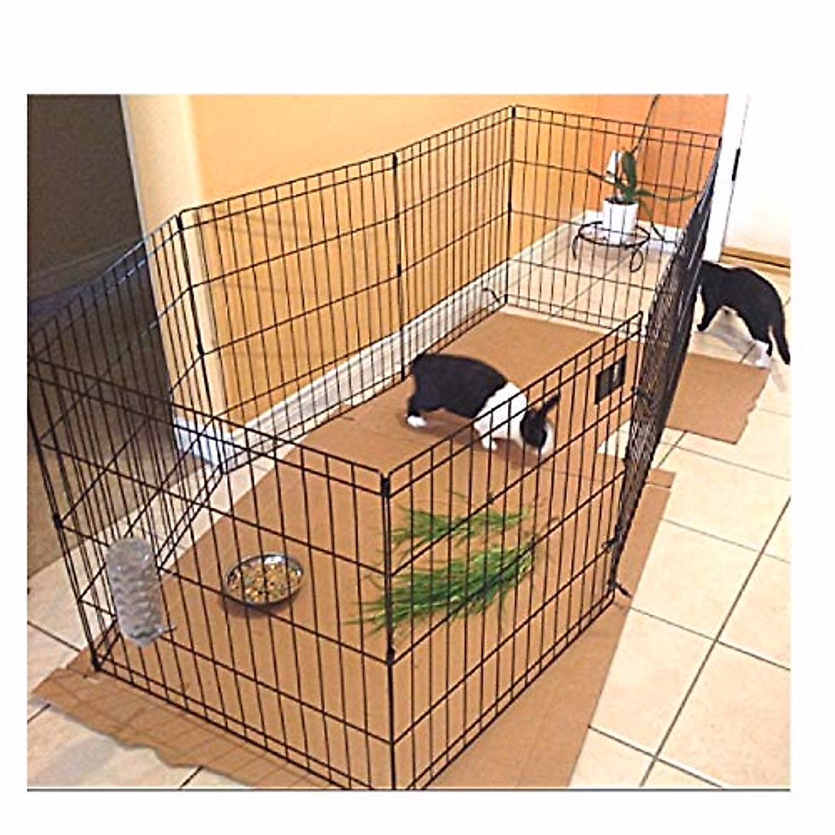Bunny Rabbit Pen Exercise Indoor 41-Inch with Door House Pet Dog 8 Panel Gate Yard Enclosure X Pen Xpen Fence Playpen & by OISTRIA