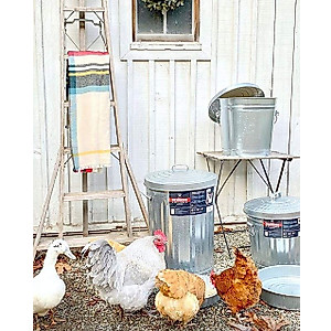 Behrens Manufacturing 6210 Galvanized Steel Trash Can, 10-Gallon