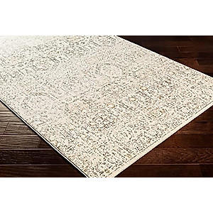 Mark&Day Area Rugs, 2x3 Geelbroek Traditional Tan/Ivory Area Rug, Beige Grey Black Carpet for Living Room, Bedroom or Kitchen (2' x 2'11")