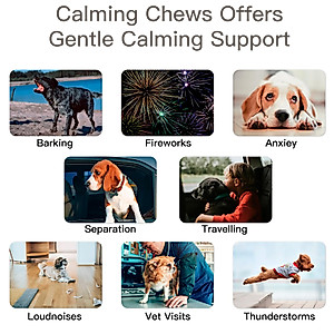 Hemp Calming Chews for Dogs Anxiety Stress Relief Treats Bites for Puppy Dog Sleep Aid with Hemp Oil - Thunder Barking Separation Noise Relieve Health Support Wellness Supplement