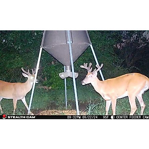 Stealth Cam Flashback 40MP 0.4 Sec Trigger Speed True Color Nighttime Photos White Xenon Flash App-Controlled Hunting Cellular Trail Camera, Available on Verizon & AT&T