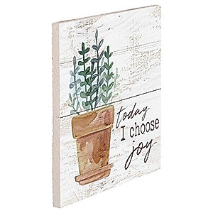 P. Graham Dunn Whitewash 7 x 7 Inch Wood Pallet Wall Hanging Sign, Today I Choose Joy Plant