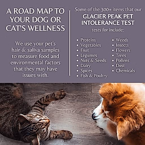 Glacier Peak Holistics - The Original Pet Wellness Life Stress Scan | Simple At Home Hair and Saliva Collection Kit to Test Over 300 Food and Environmental Stressors and Sensitivity in Your Dog or Cat