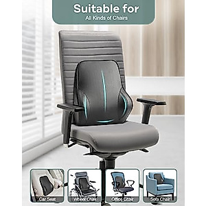 SEG Direct Lumbar Support for Car, Ergonomic Back Support for Office Chair, Driving Fatigue Back Pain Relief, Memory Foam with Breathable Leather, for Car Home Office Chair Recliner Couch