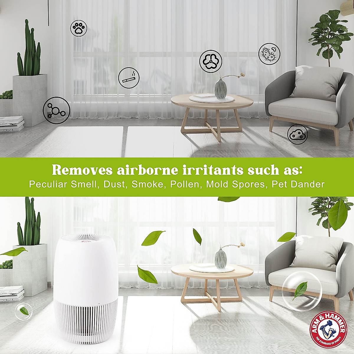 Arm & Hammer, AH301W HEPA Air Purifier for Home Office, Desktop Air Cleaner Removes 99.97% Allergies, Smoke, Dust, Pollen, Pet Dander, Odor, Germs, Mold, Pearl White