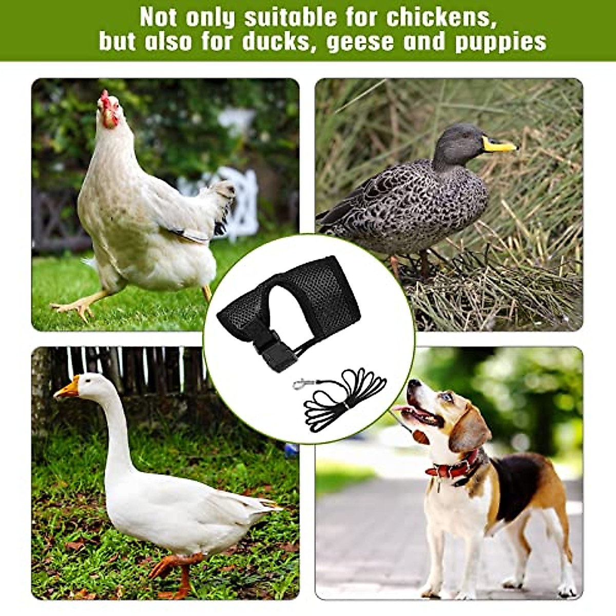 4 Pcs Adjustable Chicken Harness with Leash- 4 Styles Comfortable Hen Vest Breathable Mesh Chicken Training Harness and Leash for 2.5-3.6 Lb Duck Goose Hen Small Pets