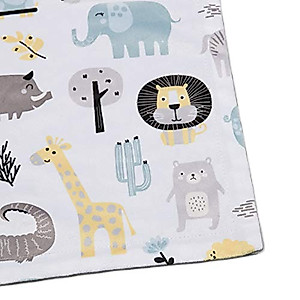 BORITAR Summer Baby Blanket for Boys Soft Minky with Double Layer Dotted Backing, Cute Animals Printed 30 x 40 Inch Receiving Blanket
