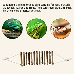 Hamiledyi Gecko Ladder Bridge, 2 PCS Wooden Reptile Ladders Hanging Bearded Dragon Rope Bridge Hermit Crab Climbing Toys Terrarium Accessories for Chameleons Turtle Lizard Frog