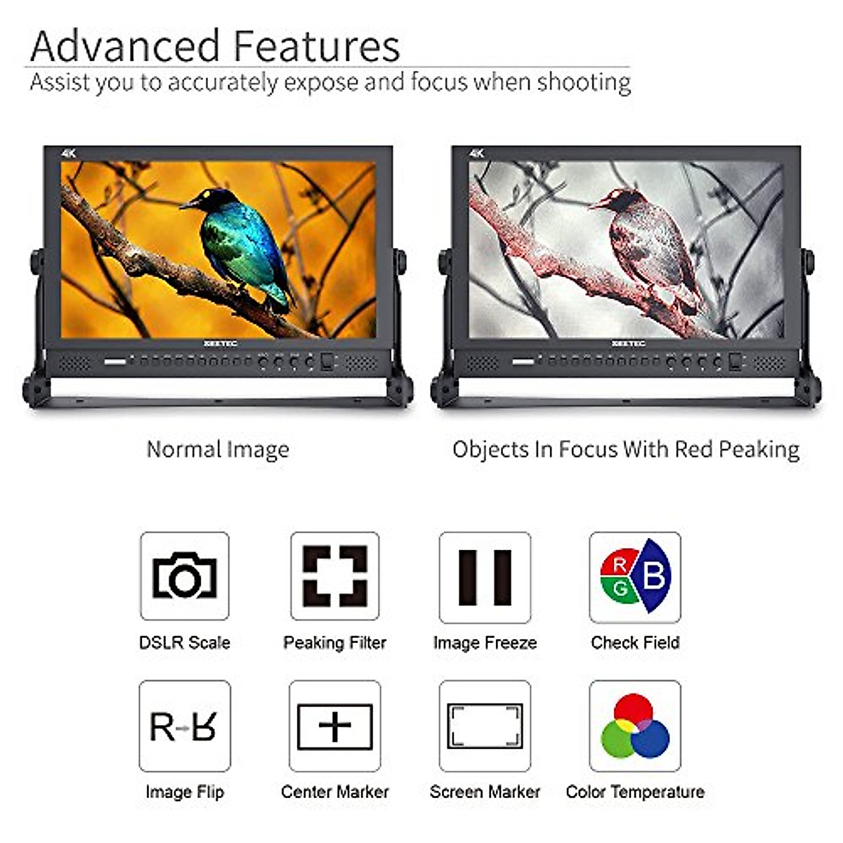 SEETEC P173-9HSD 17.3 Inch 1920x1080 Desktop Monitor for Broadcast LCD Monitoring with 3G-SDI HDMI AV YPbPr