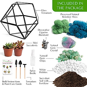 7” DIY Succulent Terrarium Kit with Live Plants, Decorative Rocks, Moss, Healing Crystals, Figurine, Tools & Geometric Glass Terrarium Décor