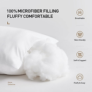 Acanva Premium Polyester Stuffer Square Form Sham Throw Pillow Inserts, 22 in（2 Count）, White