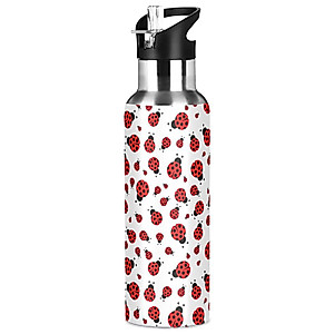 Ladybugs Pattern Insulated Water Bottle with Straw, Stainless Steel Sports Water Bottles, Double Wall Vacuum, Leakproof, BPA-Free 20 oz