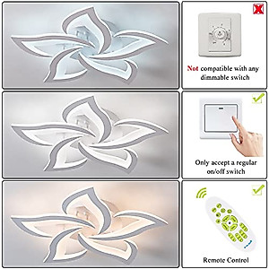CHYING Modern LED Ceiling Light 23.6'' Dimmable Flush Mount Ceiling Light with Remote Control 80W LED Chandelier Acrylic Ceiling Lamp Fixture for Bedroom Kitchen Living Room Dining Room, White