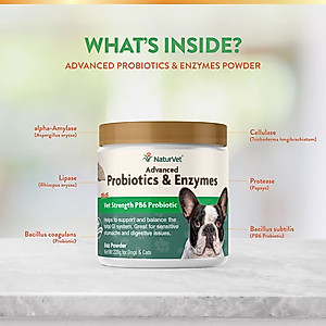 NaturVet – Advanced Probiotics & Enzymes|Supports and Balances Pets with Sensitive Stomachs & Digestive Issues 8 oz & No Scoot for Dogs - 120 Soft Chews - Supports Healthy Anal Gland & Bowel Function