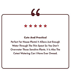 Homarden Stainless Steel Watering Can, Long Spout for No Spillage, Indoor/Outdoor Plants, Ideal 30 oz.