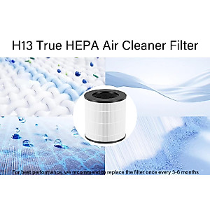 D09 Replacement Filter Compatible with Tailulu D09 Air Purifier, 3 IN 1, H13 True HEPA filter & High efficiency activated carbon & Pre-Filter, 2 Pack