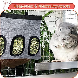 Rabbit Hay Feeder Bag, Guinea Pig Hay Feeder Storage with 3 Holes, Small Animal Pet Large Hanging Hay Feeder,600D Oxford Fabric (Gray)