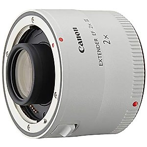 Canon EF 2.0X III Telephoto Extender for Canon Super Telephoto Lenses