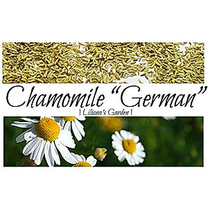 Herb Seeds - German Chamomile - Medicinal, Flowering, and Edible - Liliana's Garden