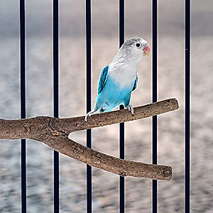 Allazone 10 PCS Natural Wood Bird Perch Stand, Bird Parrot Perch Stand Set, Wooden Parrot Perch Stand Perch Platform Cage Accessories for Parrotlets Cockatiels Budgies Parakeets