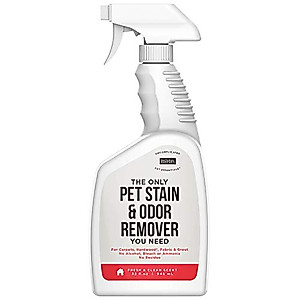 Natural Rapport Pet Stain and Odor Spray - The Only Pet Stain and Odor Remover You Need - Pet Stain Remover Carpet and Upholstery Cleaner Urine Odor Eliminator Spray for Pets (32 fl oz.)