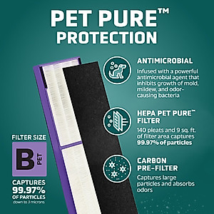 Germ Guardian FLT4850PT True HEPA Genuine Air Purifier Replacement Filter B, with Pet Pure Treatment for GermGuardian AC4900, AC4825, AC4850PT, CDAP4500, AC4300, and More, 1 Count (Pack of 1)