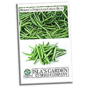Burpee Stringless Green Bean Seeds for Planting, 50+ Heirloom Seeds Per Packet, (Isla's Garden Seeds), Non GMO Seeds, Botanical Name: Phaseolus vulgaris, 85% Germination Rates, Great Home Garden Gift