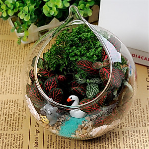 Ivolador Hanging Plants Glass Terrarium Container 4.7 Inches Air Plant Holder Succulents Globe Shape Home Garden Décor- 3 PCS