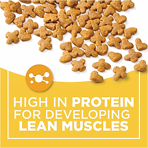 Purina Kitten Chow Nurture Kitten Dry Cat Food, 3.15 LB (Pack of 2)